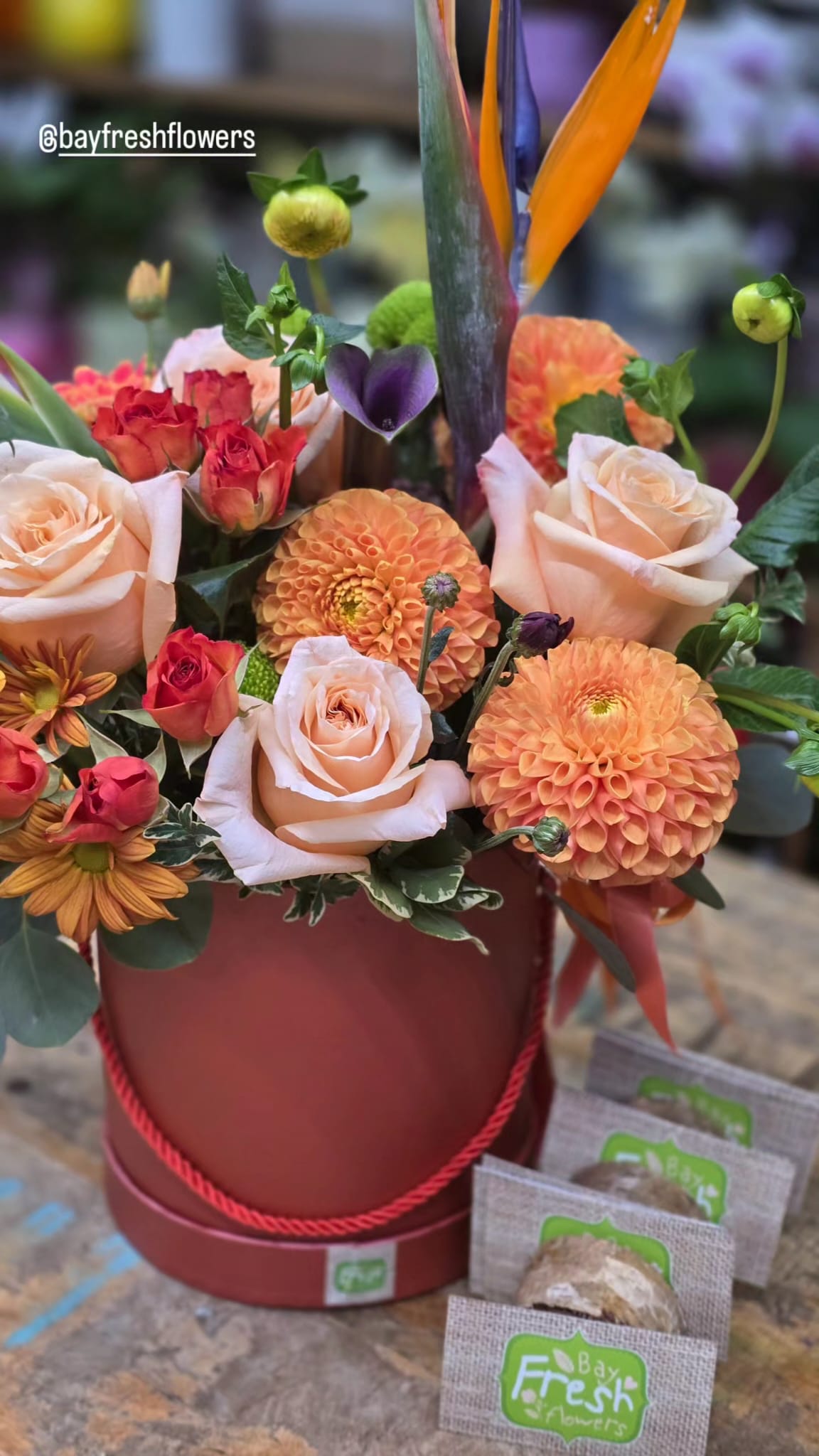 1463 Autumn blues - Flower arrangement with tropical Strelizia - Flower ...