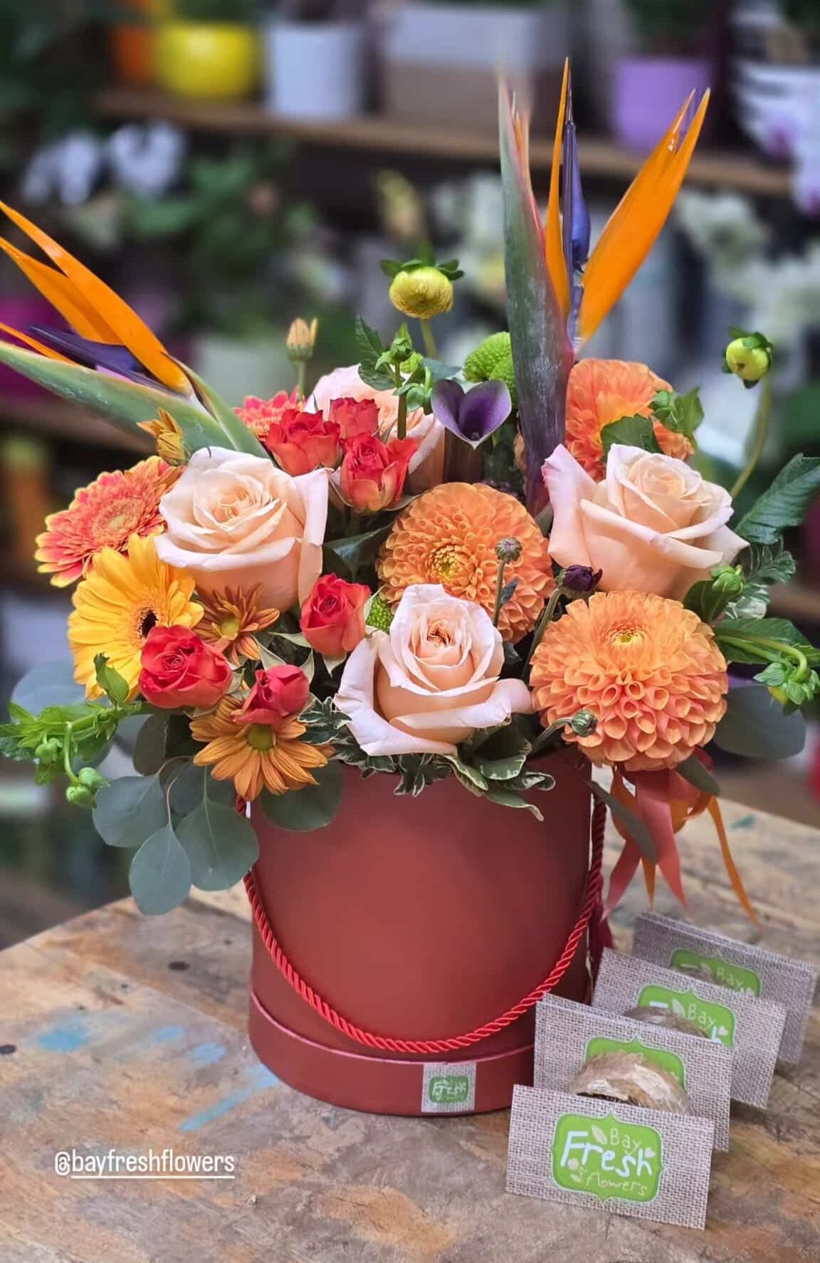1463 Autumn blues - Flower arrangement with tropical Strelizia - Flower ...